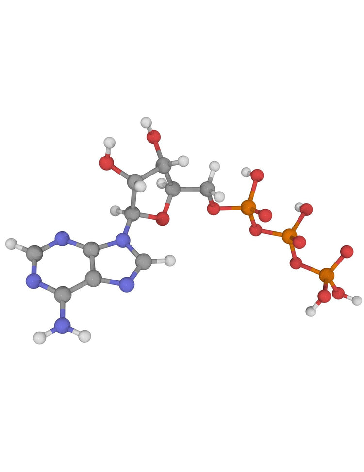 Collections – Polysciences