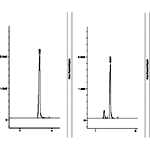 Formaldehyde, 10%, methanol free, Ultra Pure | Polysciences, Inc.